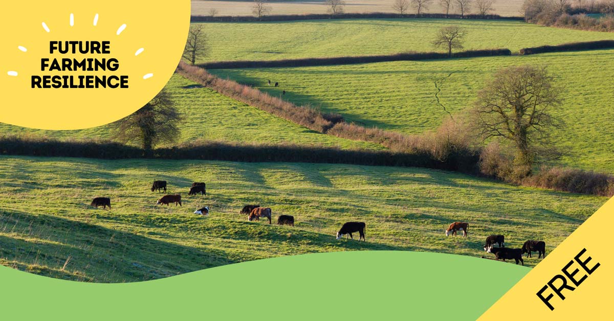 SFI on-farm: Hedgerows & Grant Support - Business Information Point