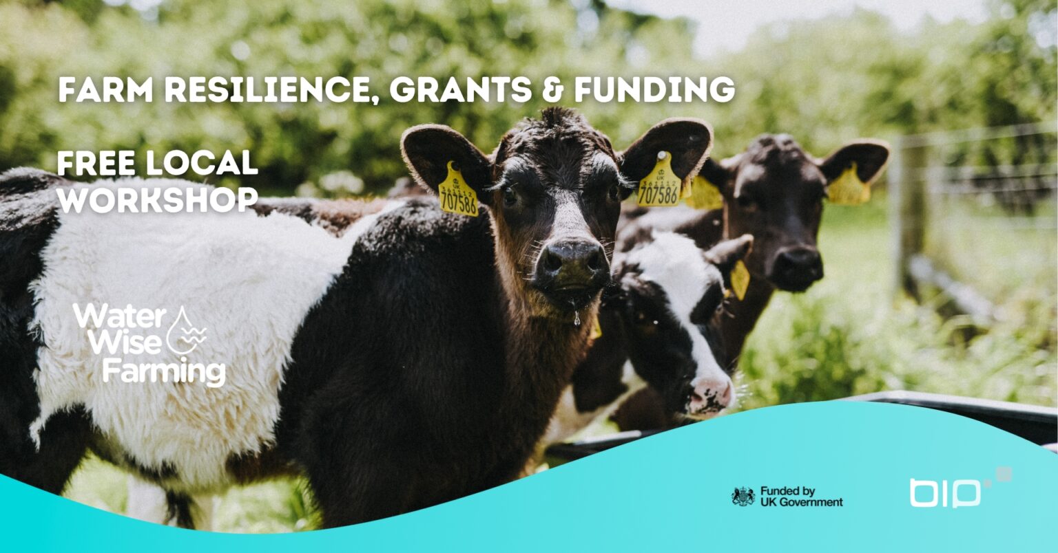 Small Business Advice & Support | Business Information Point